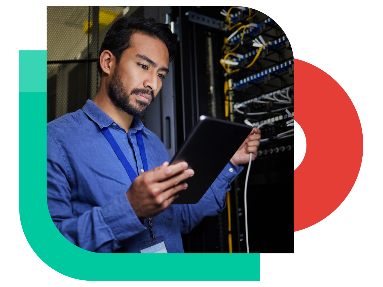 TIGER Data – World Tiger